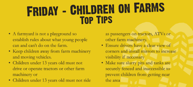 Farming Is Not Childs Play – the Message for the Final Day of Farm ...