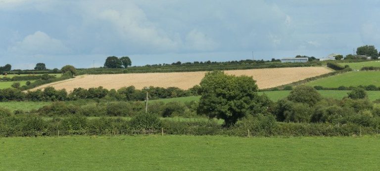 Farm Schemes Overview - Irish Farmers' Association