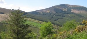 Farm Schemes Overview - Irish Farmers' Association