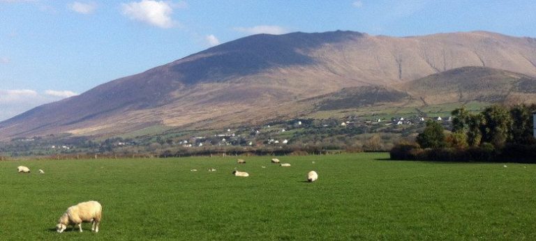 Farm Schemes Overview - Irish Farmers' Association