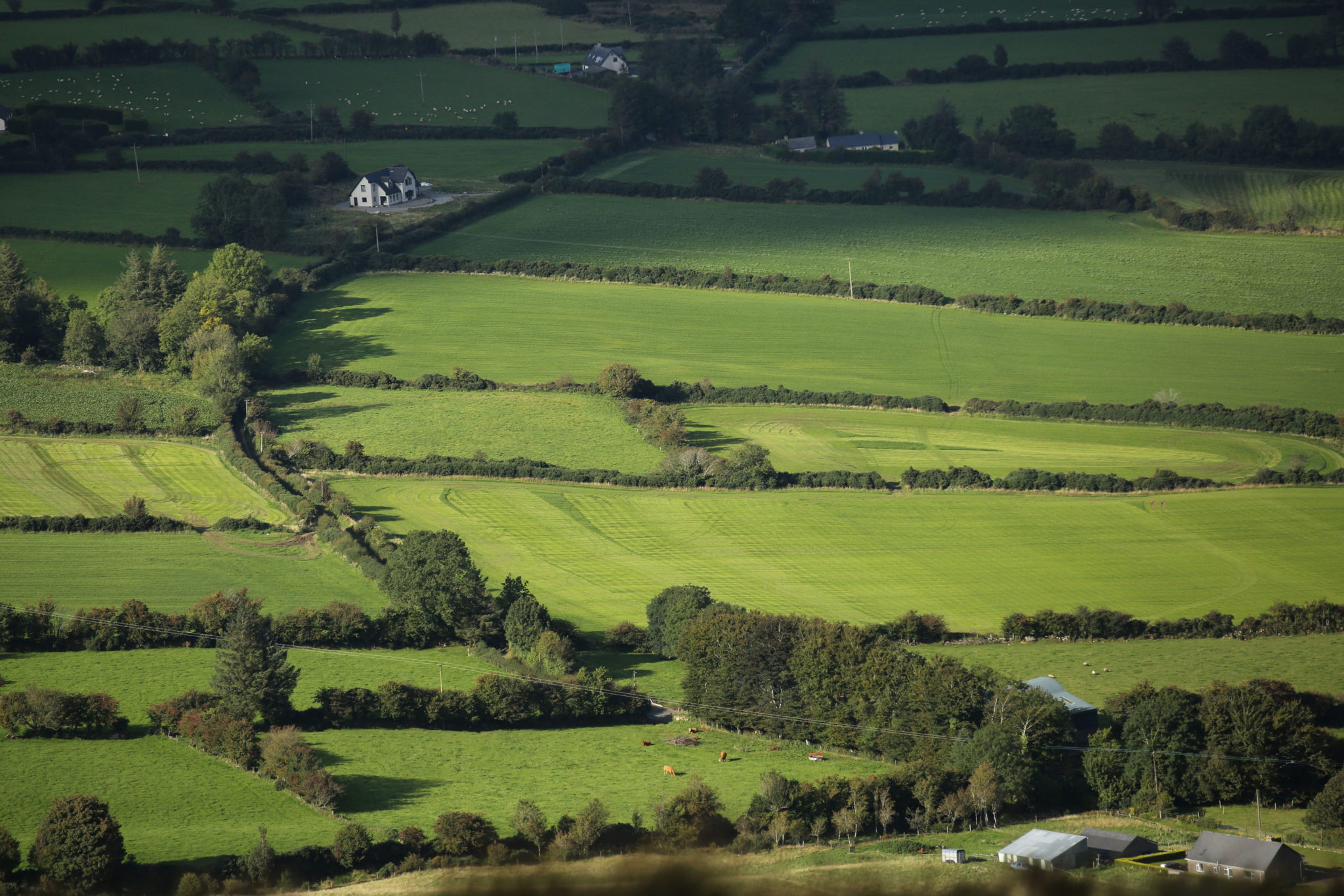 Agri-Strategy a Crucial Moment for Irish Agriculture - Irish Farmers ...