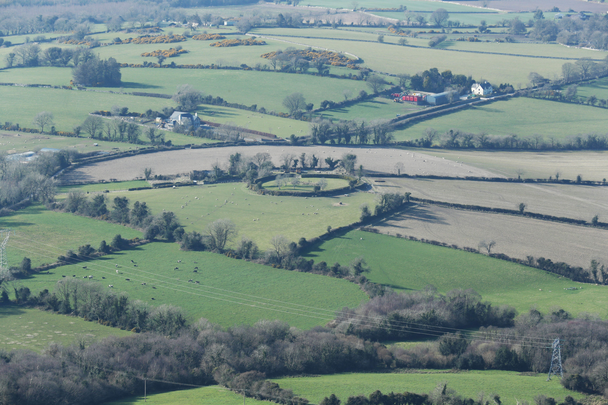 Smart Farming AgTech Guide to Reduce Farm Inputs & Cut Workload - Irish ...