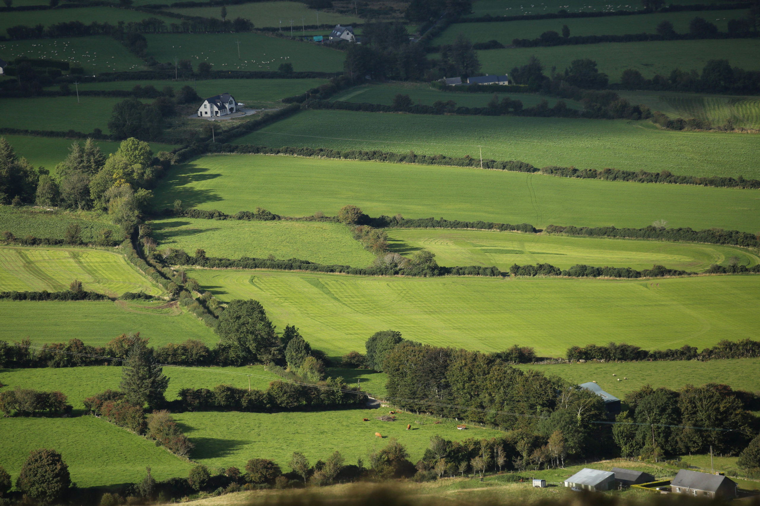 IFA To Hold Organic Farm Walks Irish Farmers Association