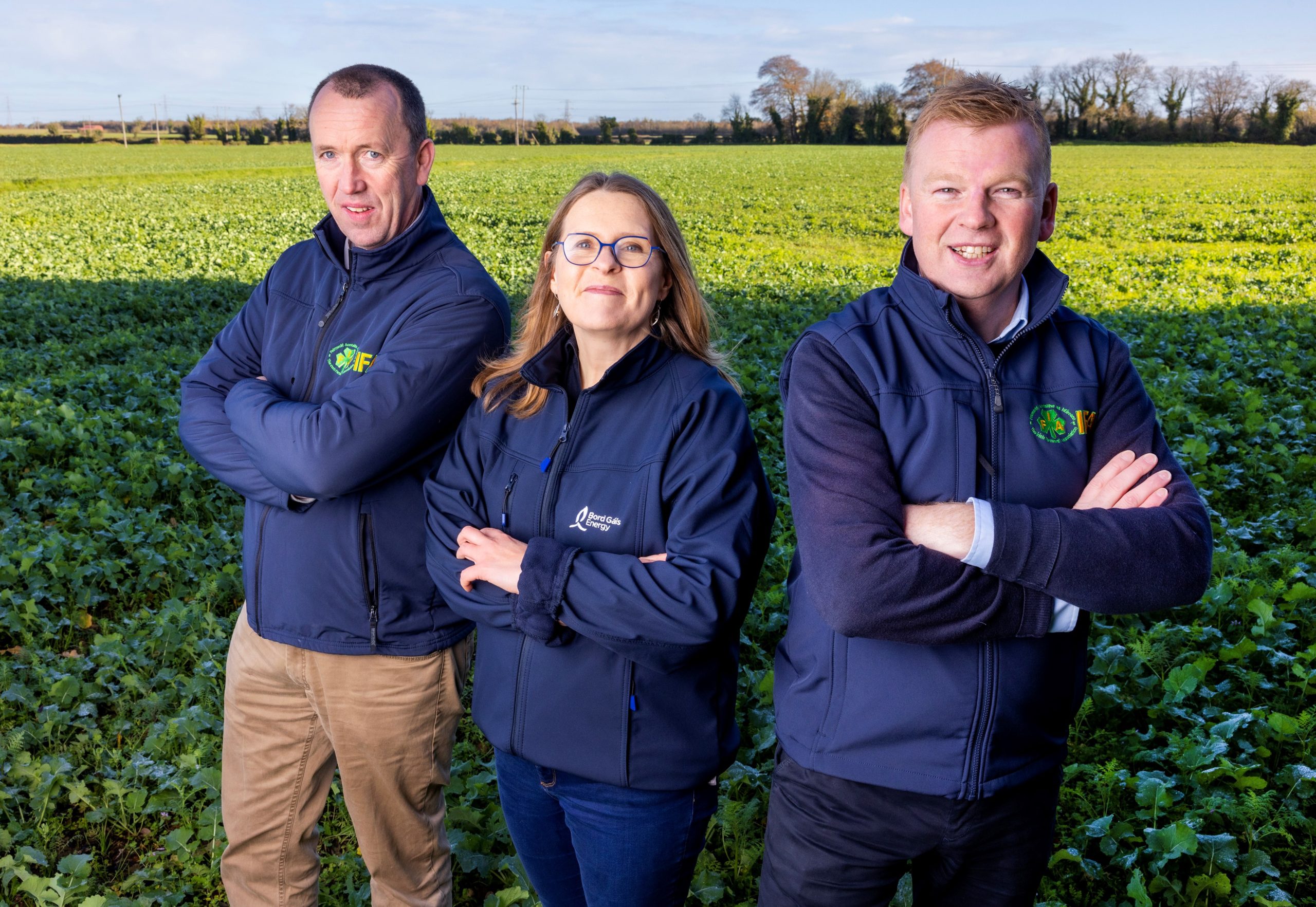 IFA and Bord Gais Energy Launch New Solar Energy Partnership - Irish ...