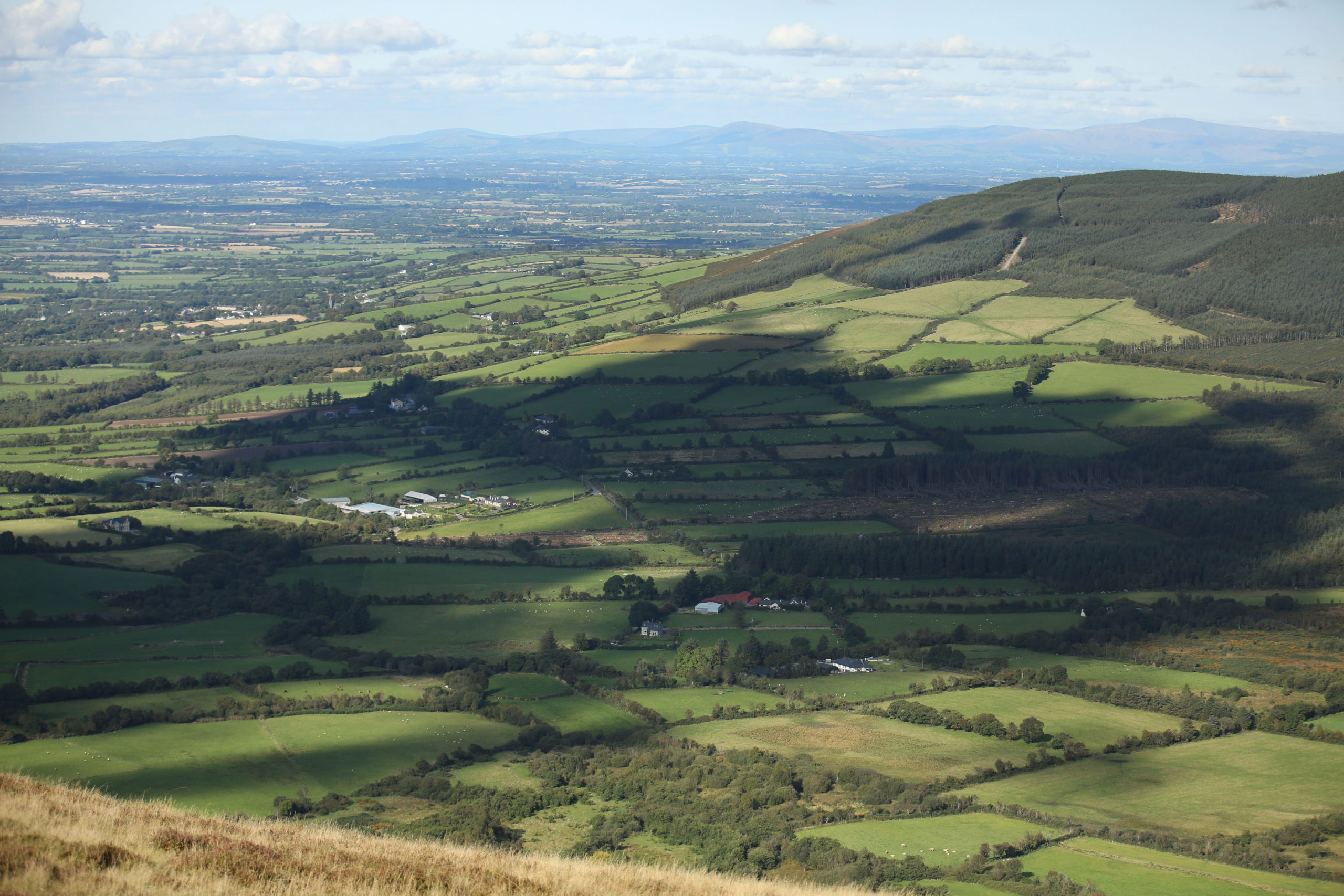 Hill Farming Council Report March 2023 - Irish Farmers' Association