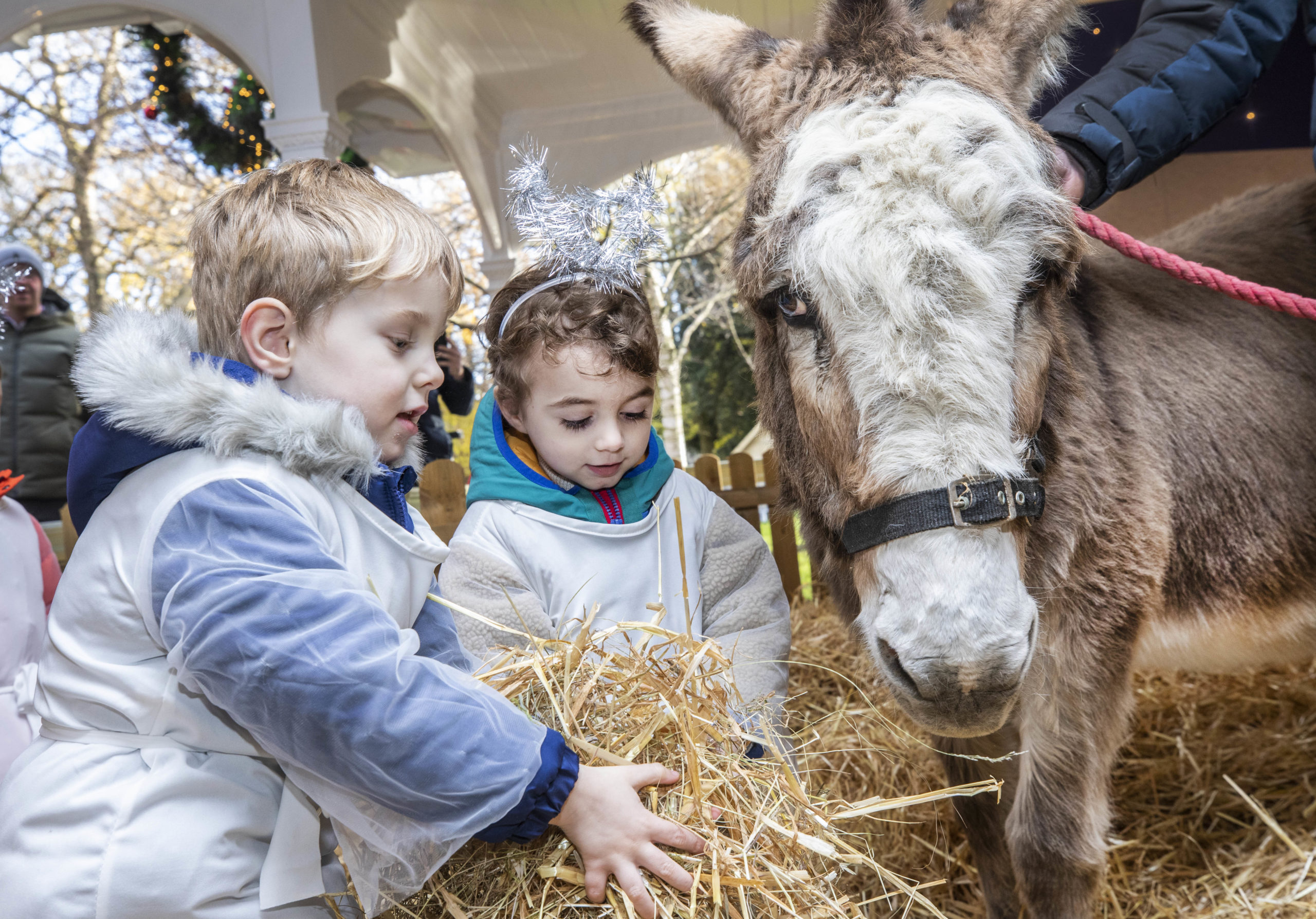Live Animal Crib Opens at St Stephen’s Green - Irish Farmers' Association