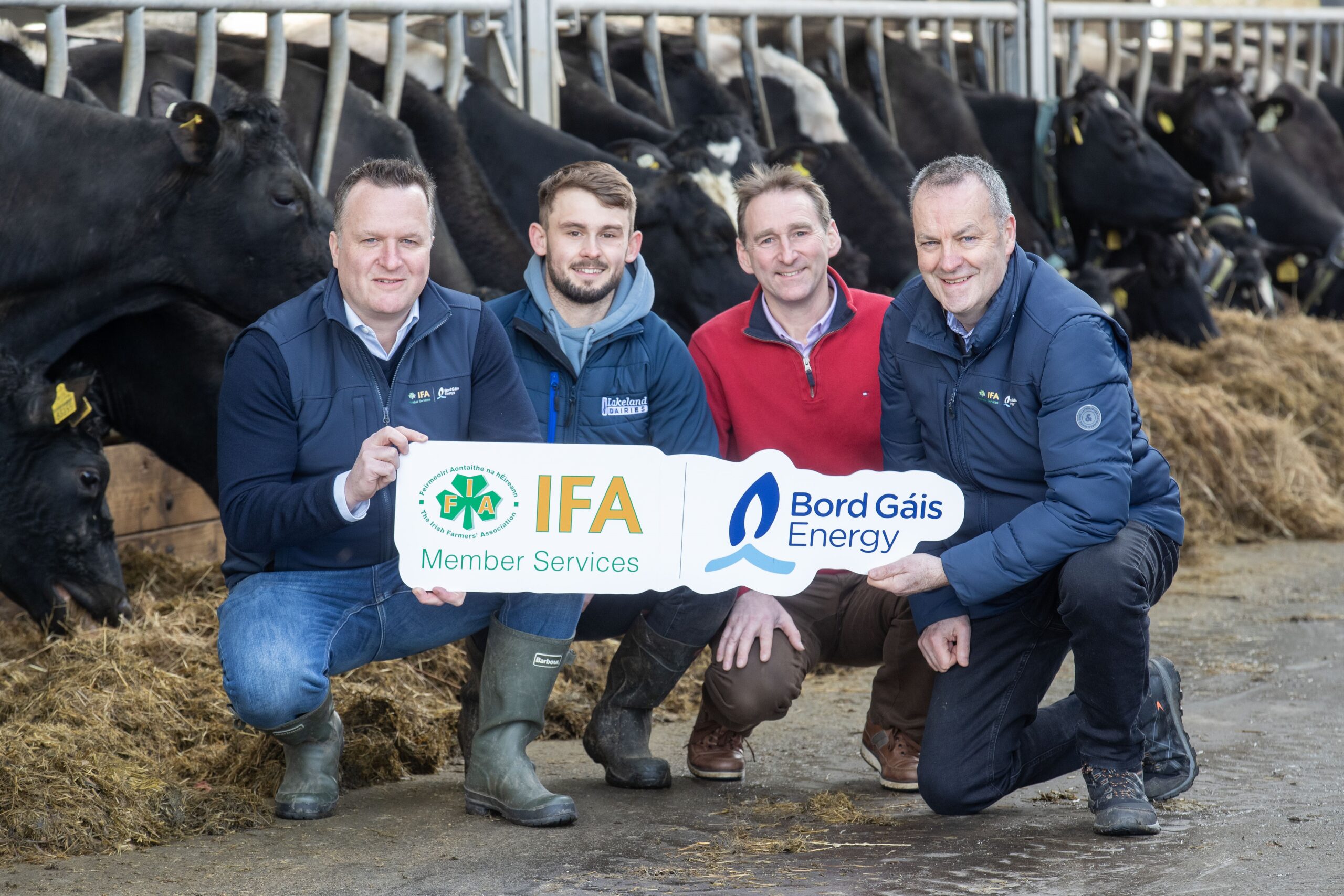Landmark TAMS 3 Solar Install for IFA & Bord Gais Energy - Irish ...