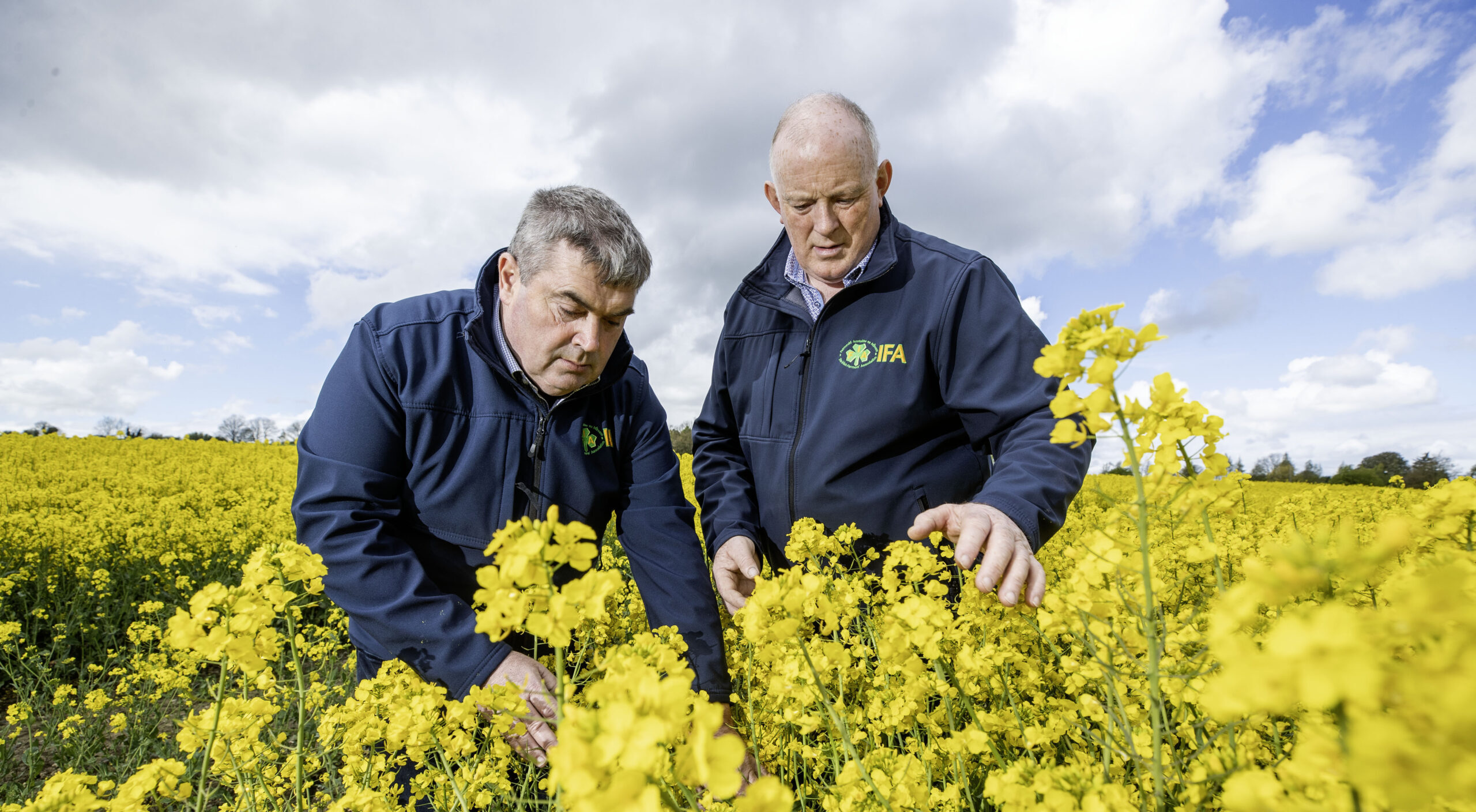 Food Vision Tillage Report Needs Urgent Funding - Irish Farmers ...