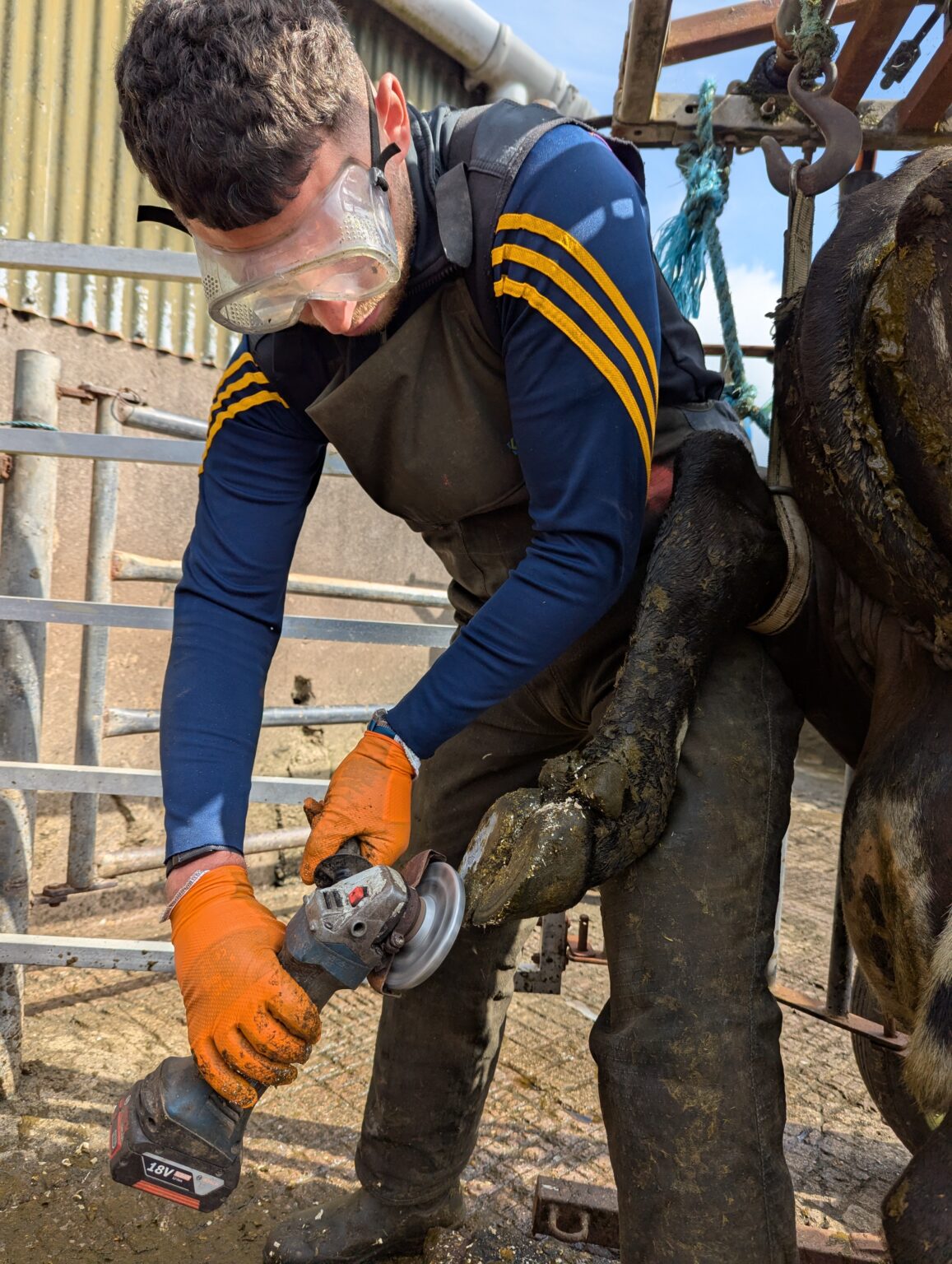 Upcoming Training Courses - Irish Farmers' Association