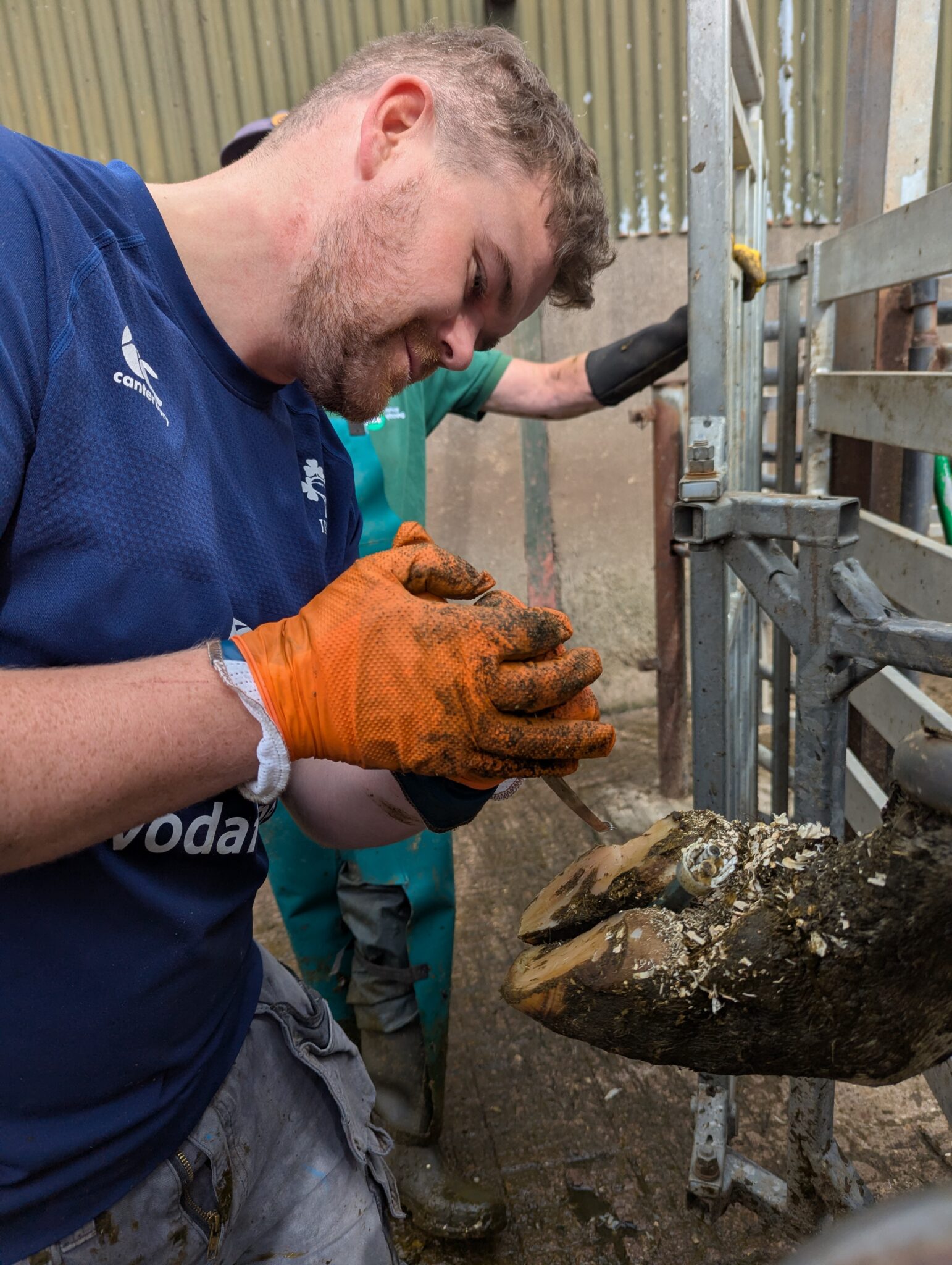 Upcoming Training Courses - Irish Farmers' Association