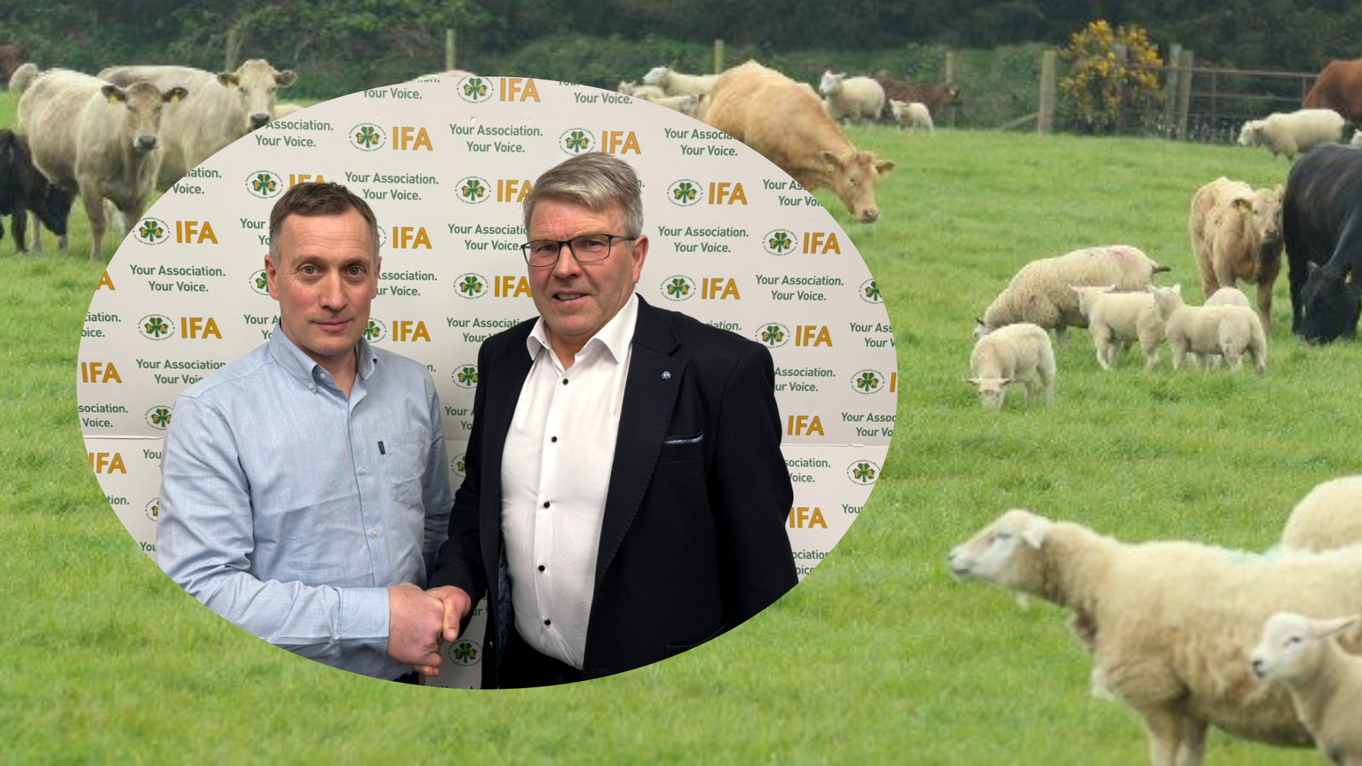 David Hall Elected Chair of IFA Animal Health Committee - Irish Farmers ...